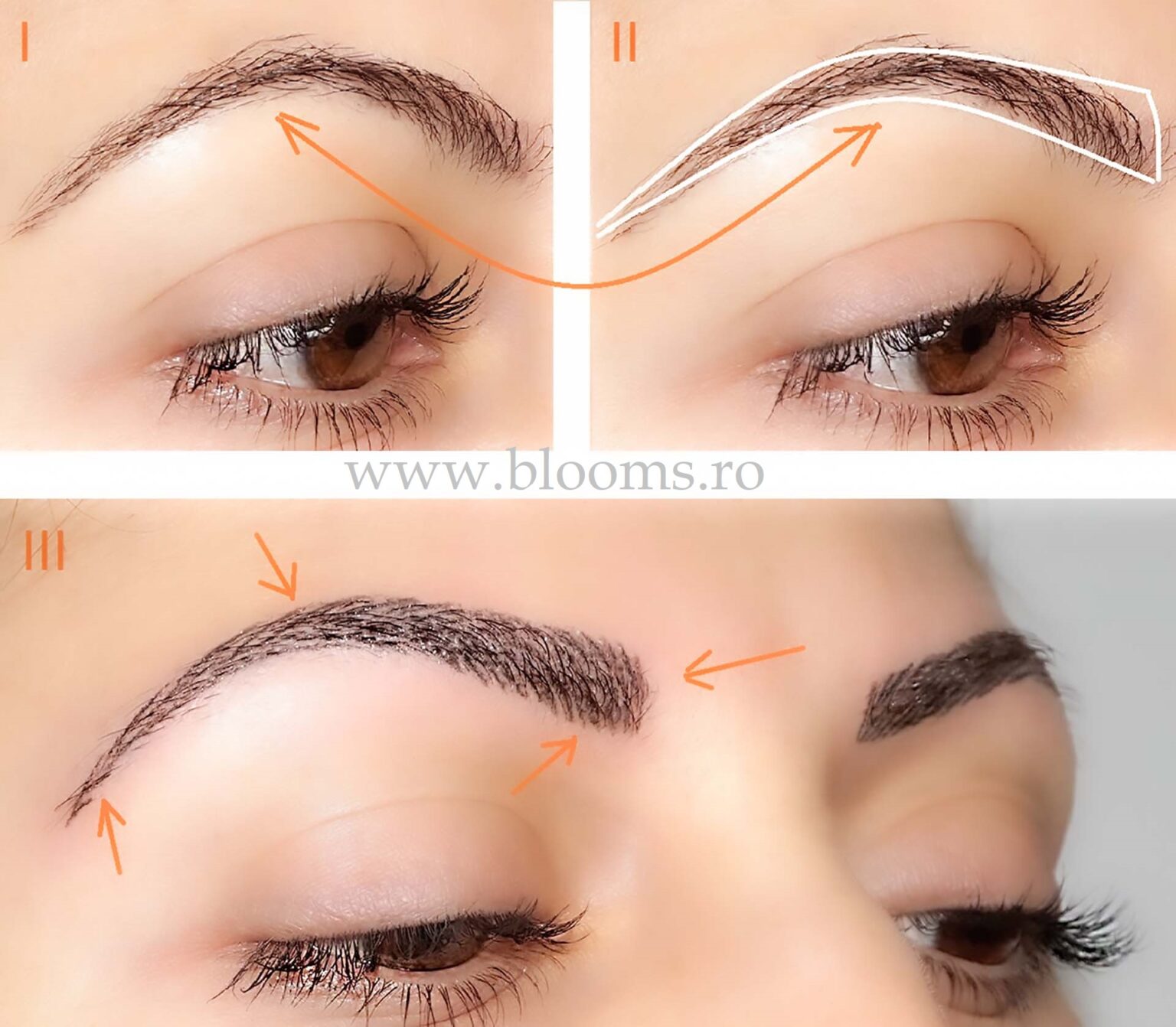 Galerie foto sprancene - Salon Blooms Beauty